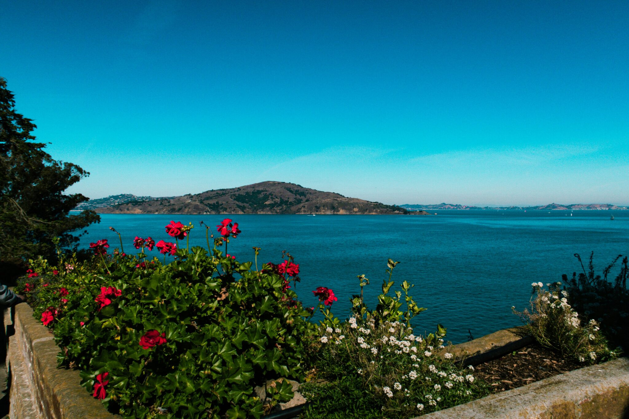 How To Hike the Agave Trail on Alcatraz Island